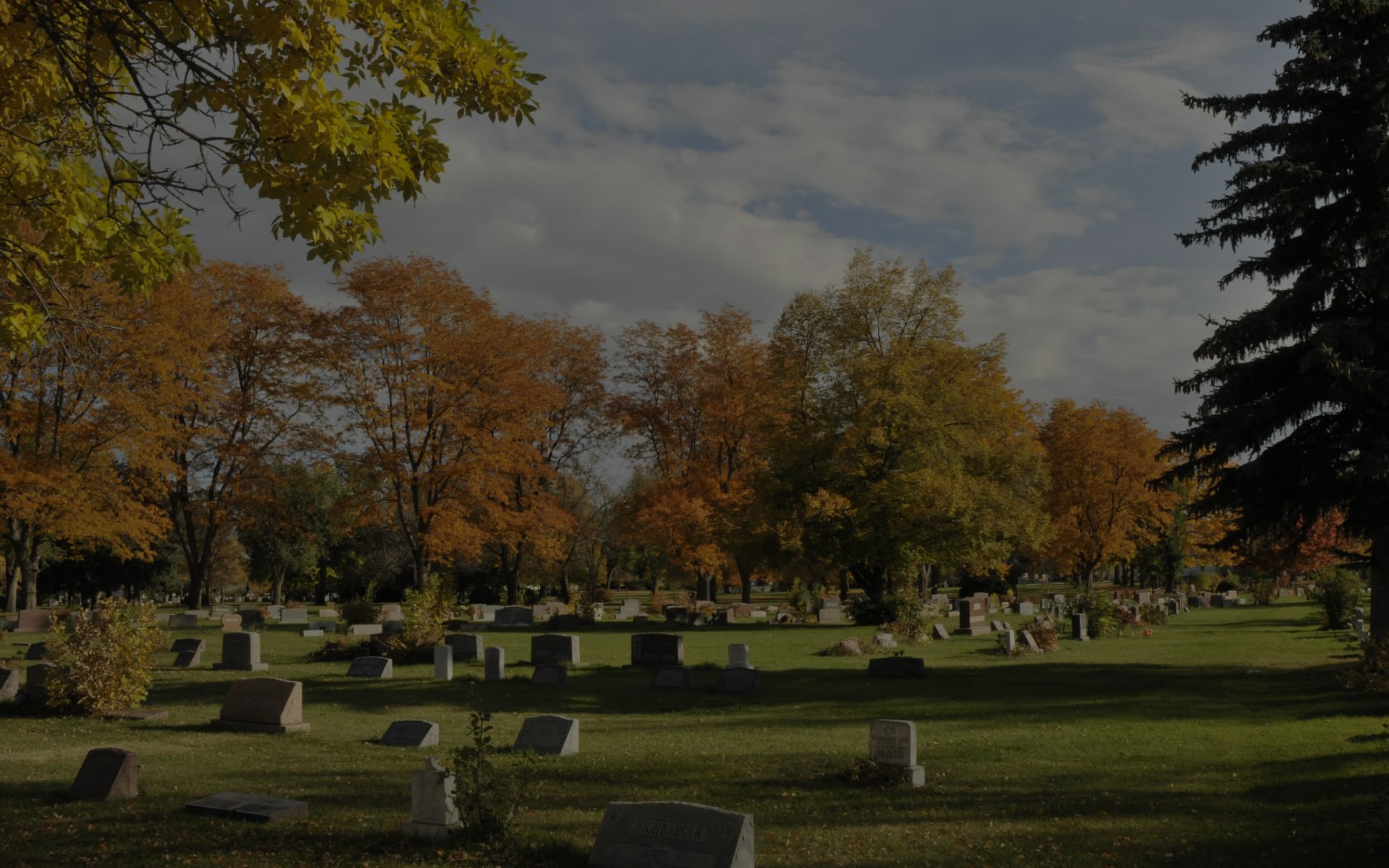 Interactive Lot Selector